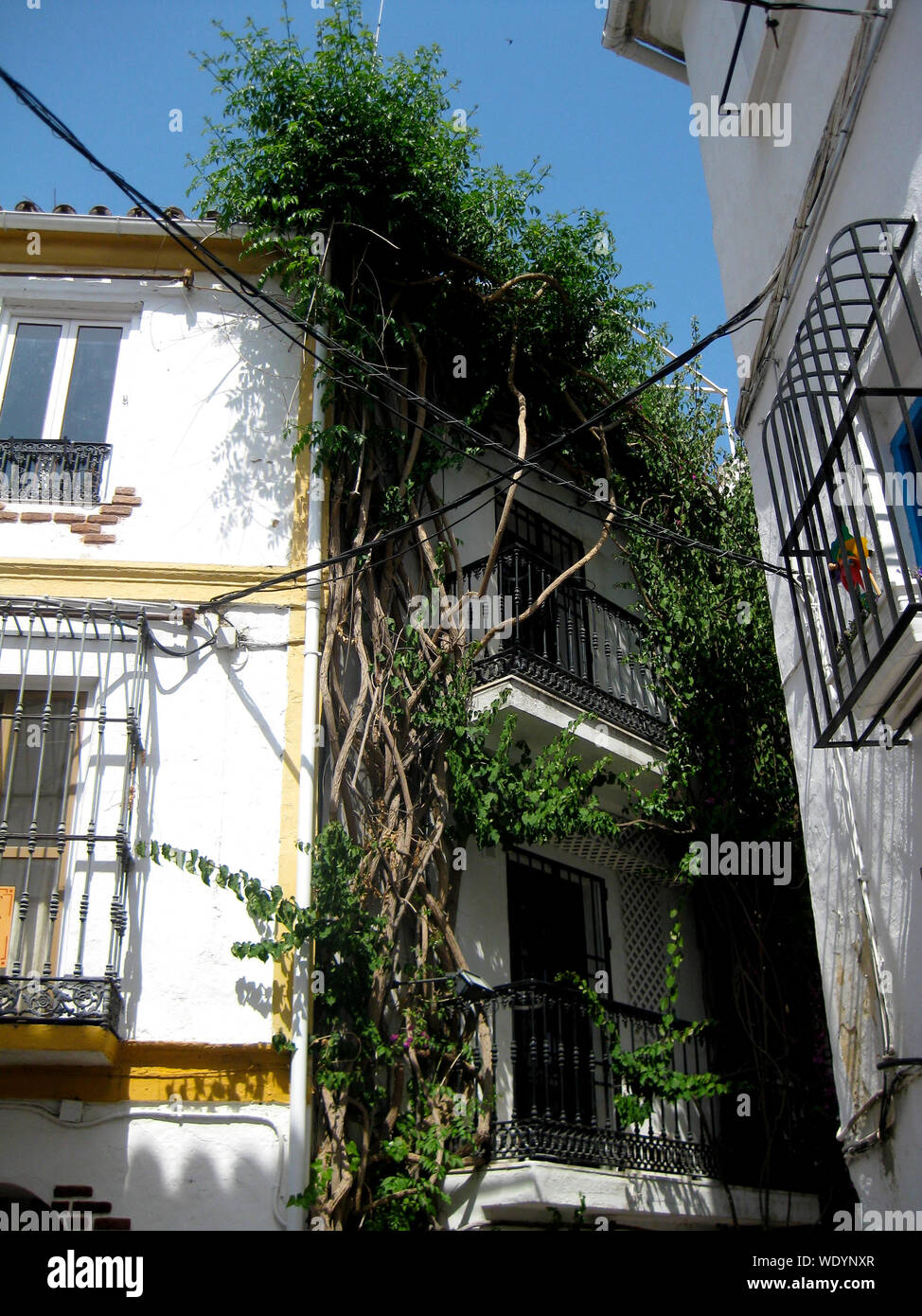 Vine building hi-res stock photography and images - Alamy