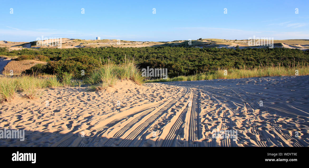 Sandy Tracks High Resolution Stock Photography and Images - Alamy