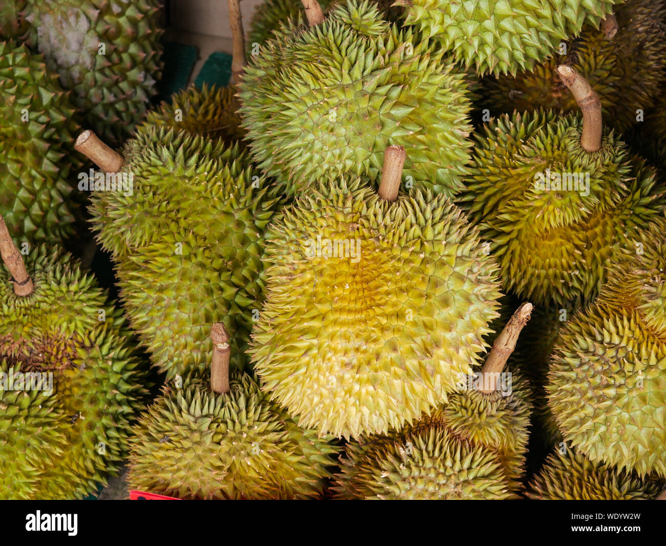 Close up durians hi-res stock photography and images - Alamy