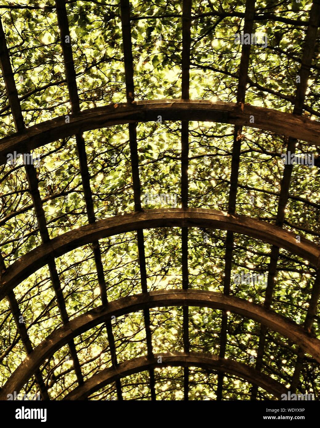 Seen Through Skylight High Resolution Stock Photography and Images - Alamy