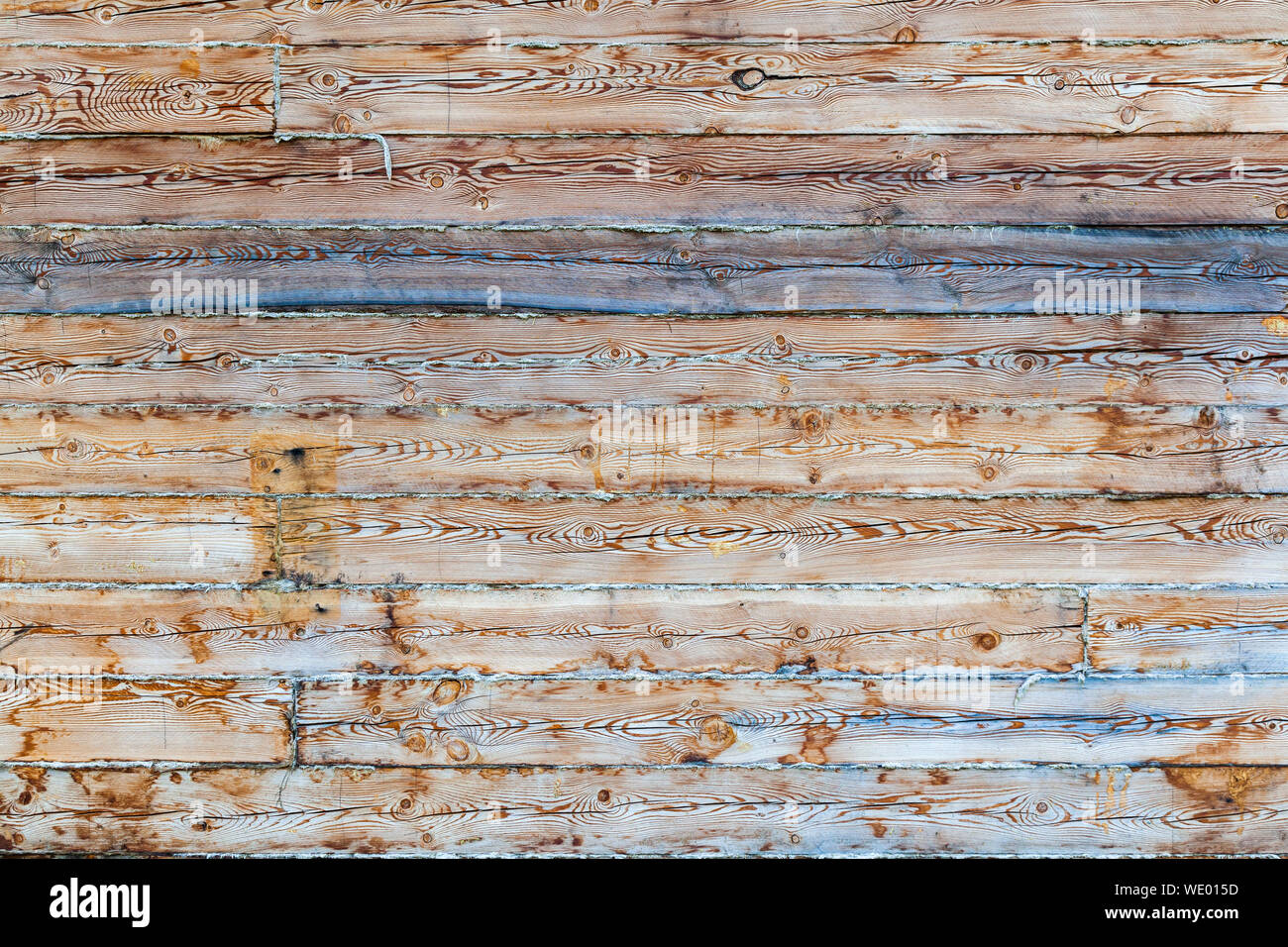 Horizontal Lines In Nature