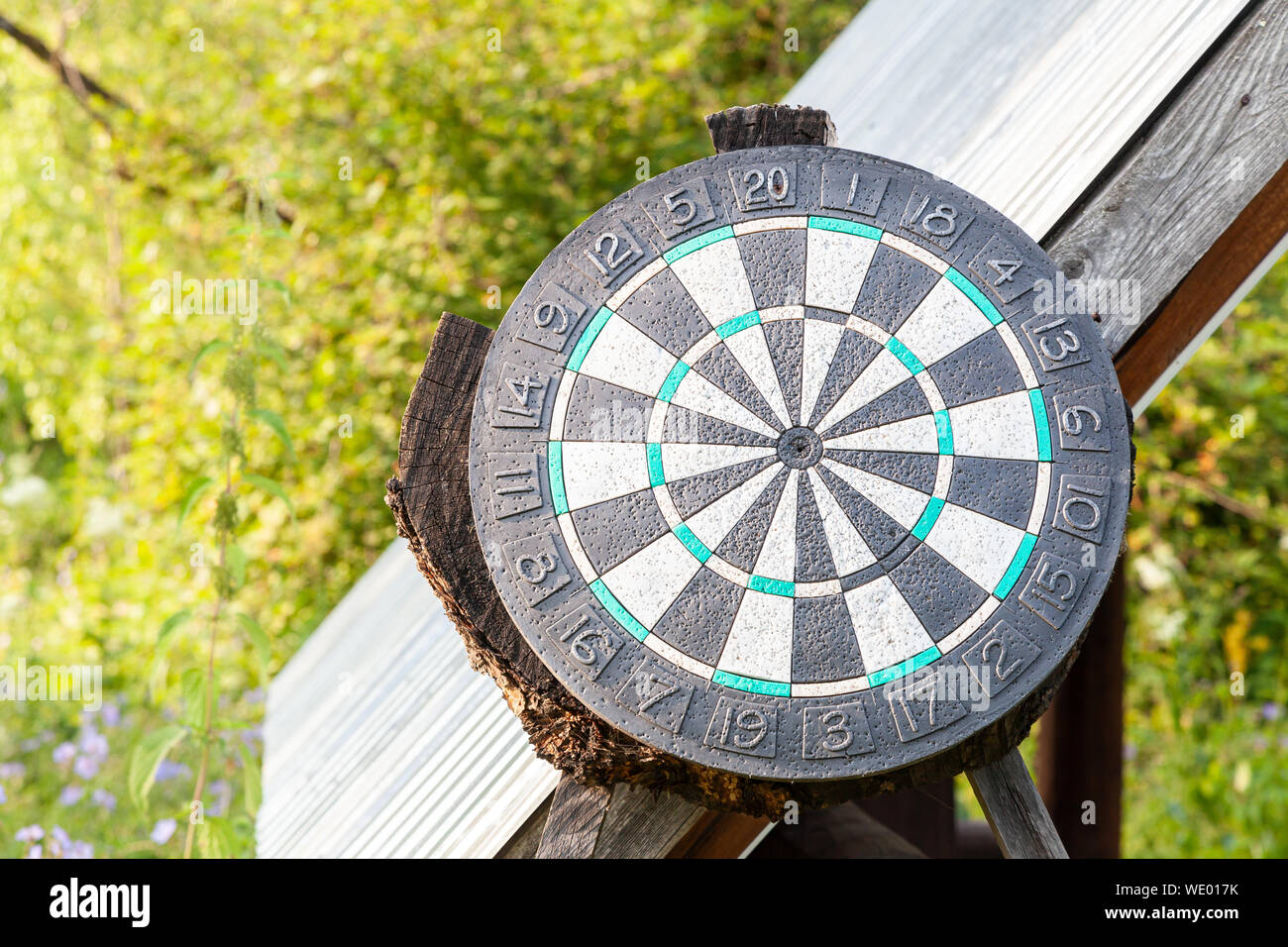 A large black circle of darts on a background of green grass on a warm ...
