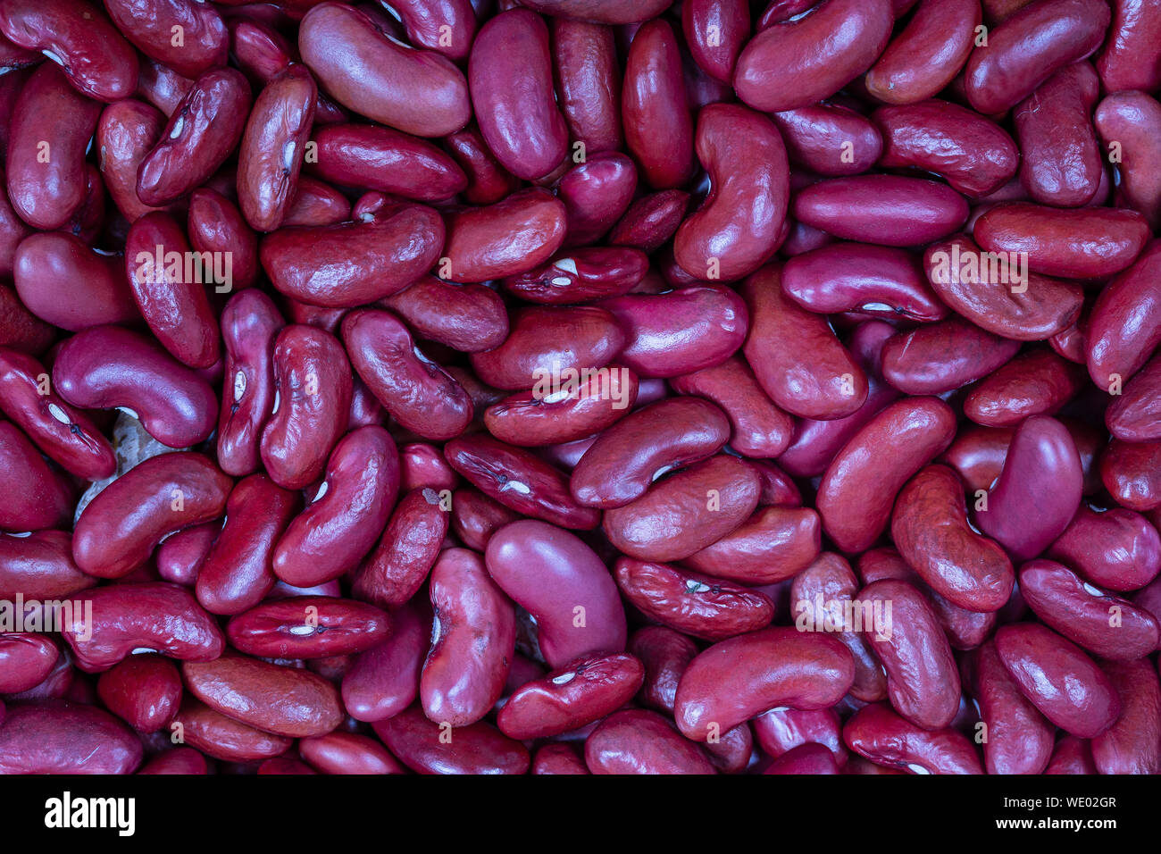 Background of many grains of dried beans. Red beans texture. Food ...
