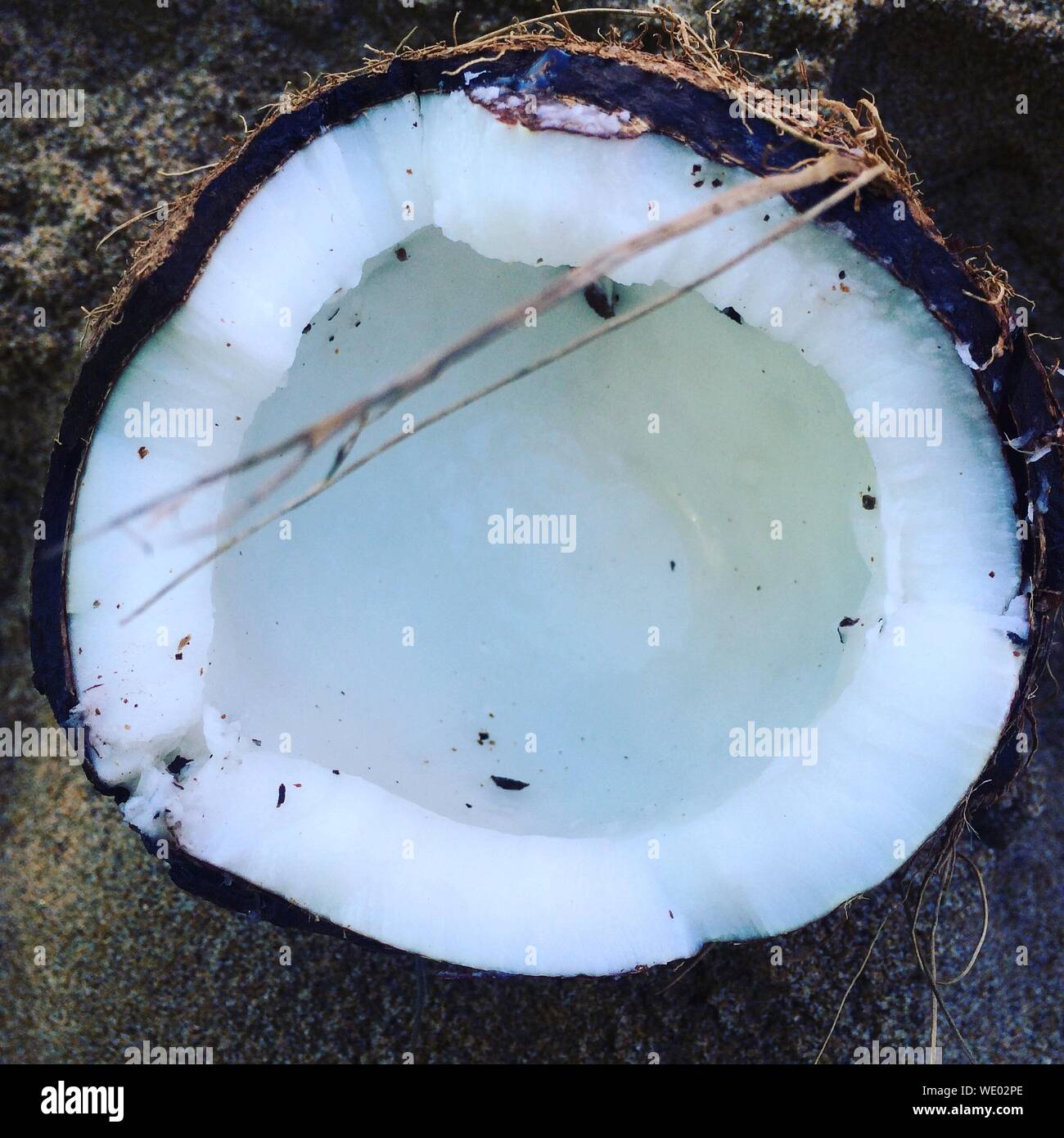 Coconut Cross Section High Resolution Stock Photography and Images - Alamy