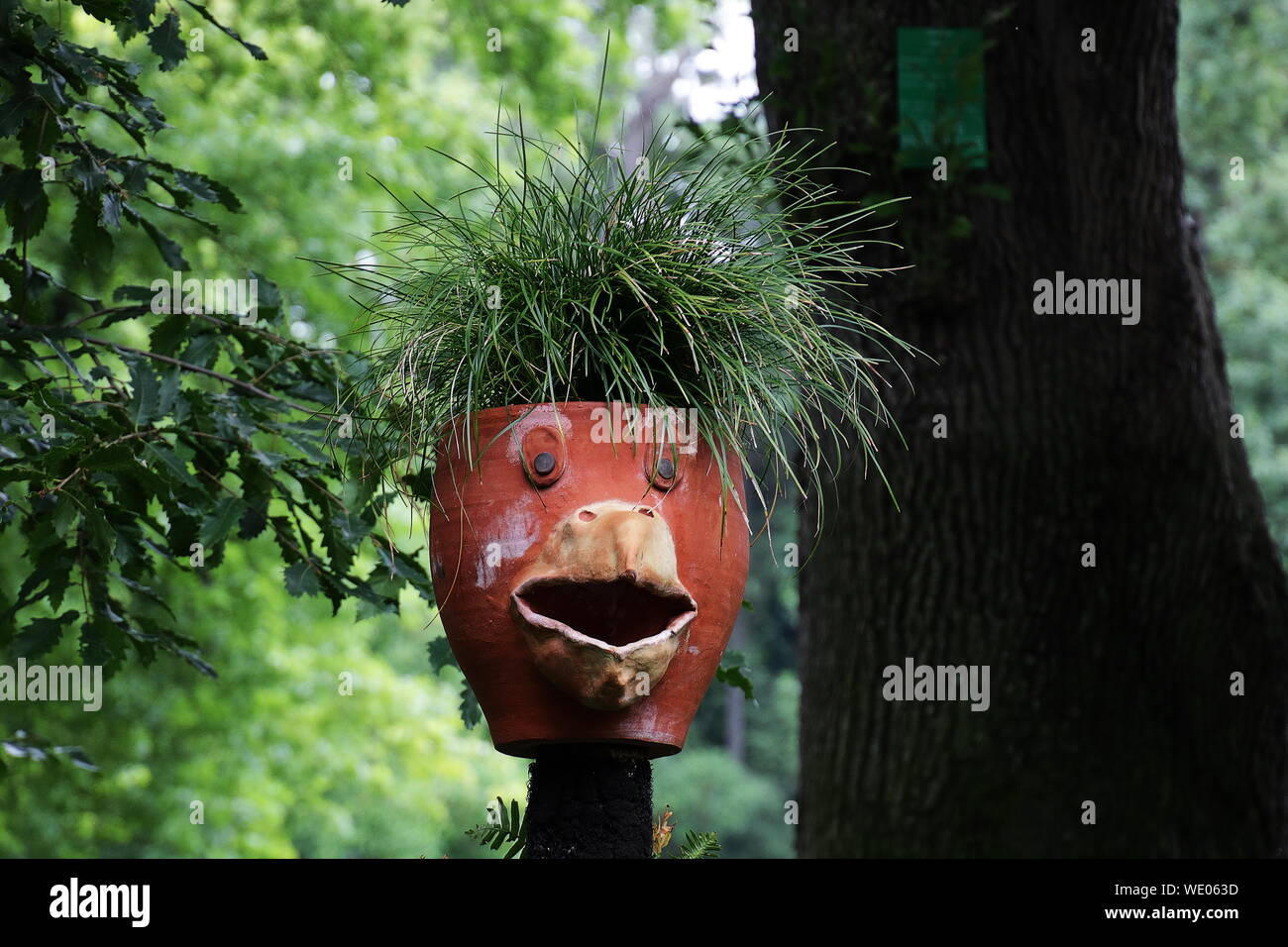 Face plant hi-res stock photography and images - Alamy