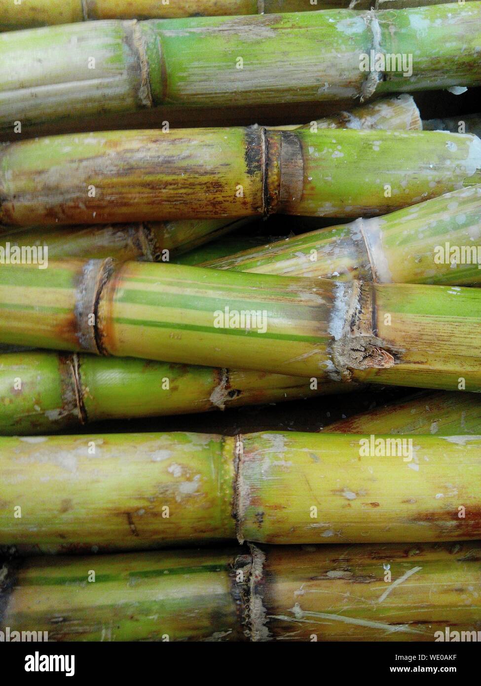 Sugar cane frame hi-res stock photography and images - Alamy