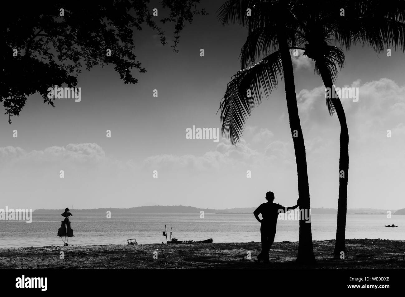 Man Leaning Against Tree Silhouette High Resolution Stock Photography ...