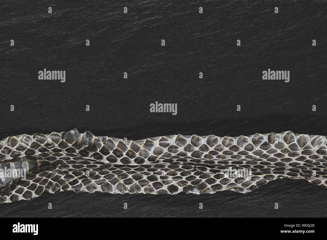 Grass snake shedding skin hi-res stock photography and images - Alamy