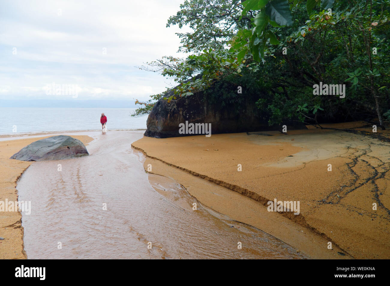 Man wading through stream running across beach, Nosy Mangabe, Masoala ...