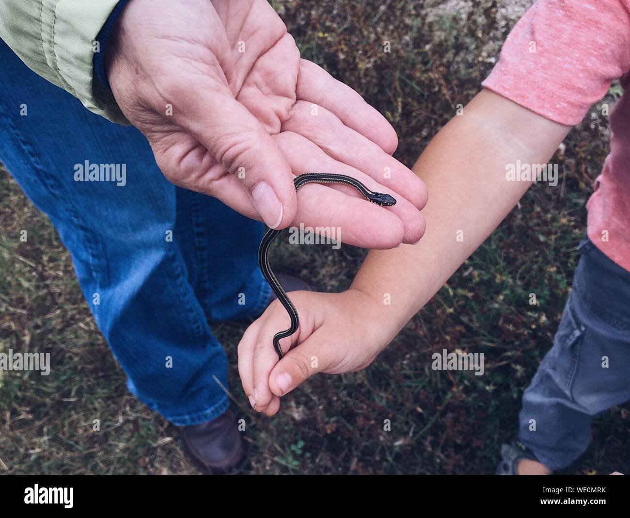 Child Holding Snake High Resolution Stock Photography and Images - Alamy