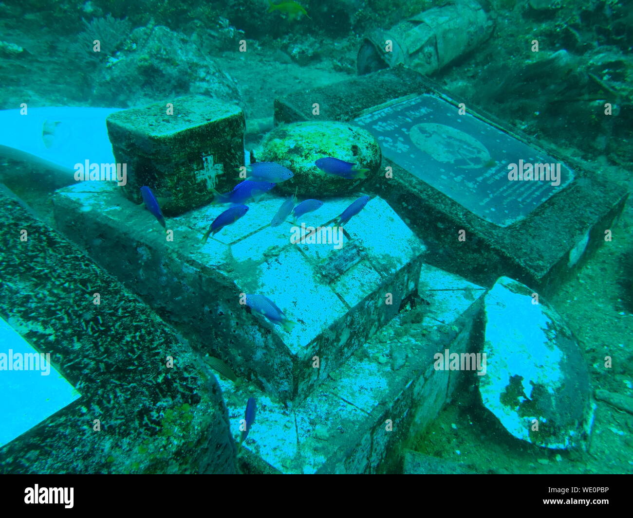 Shipwreck underwater fish hi-res stock photography and images - Alamy