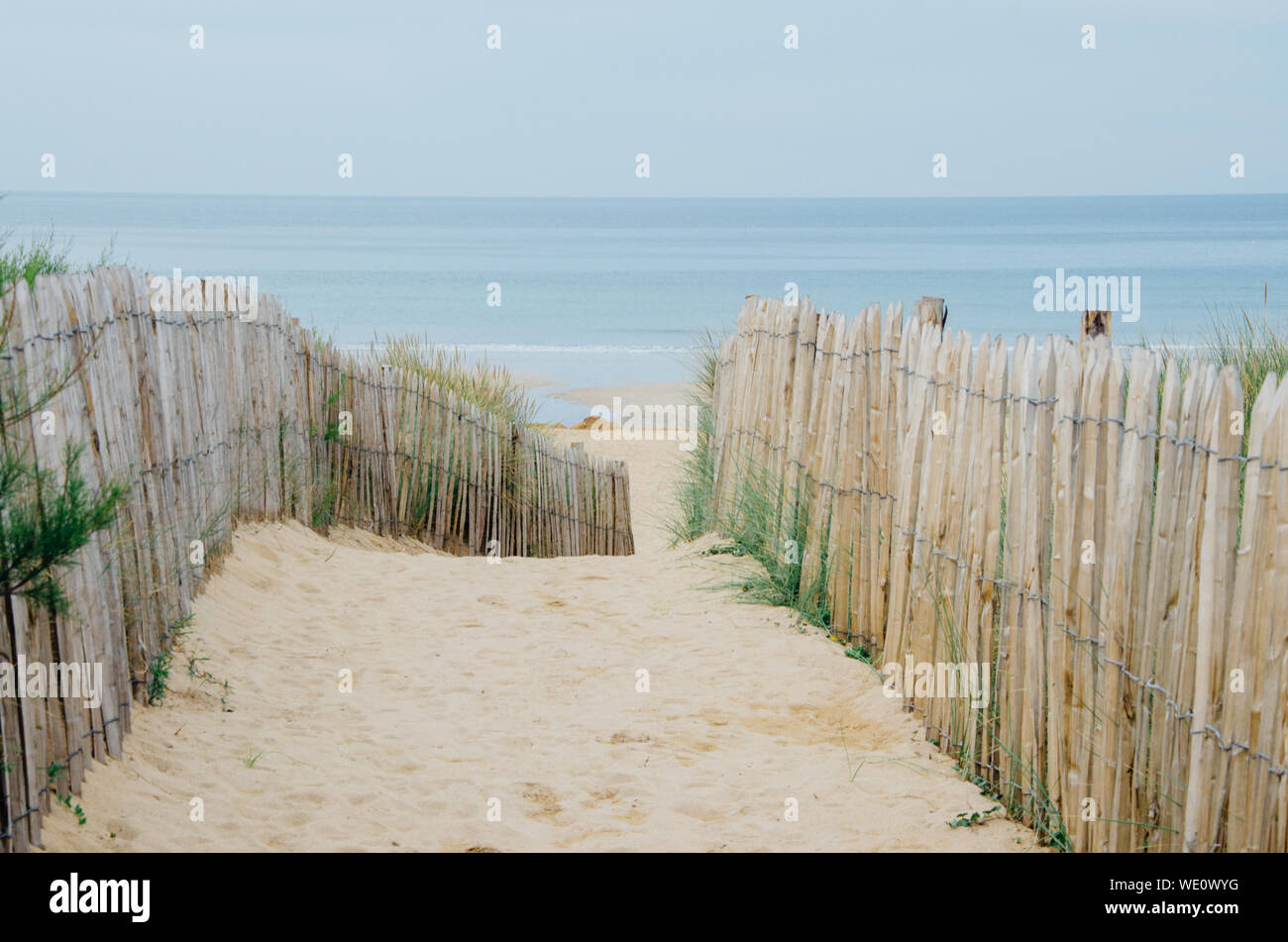Sandy pathway hi-res stock photography and images - Alamy