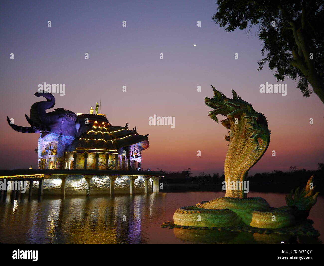 Temple snake hi-res stock photography and images - Alamy