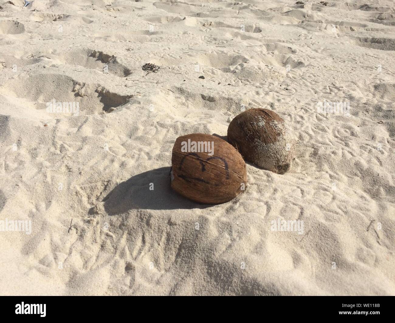 Shells in coconut hi-res stock photography and images - Alamy