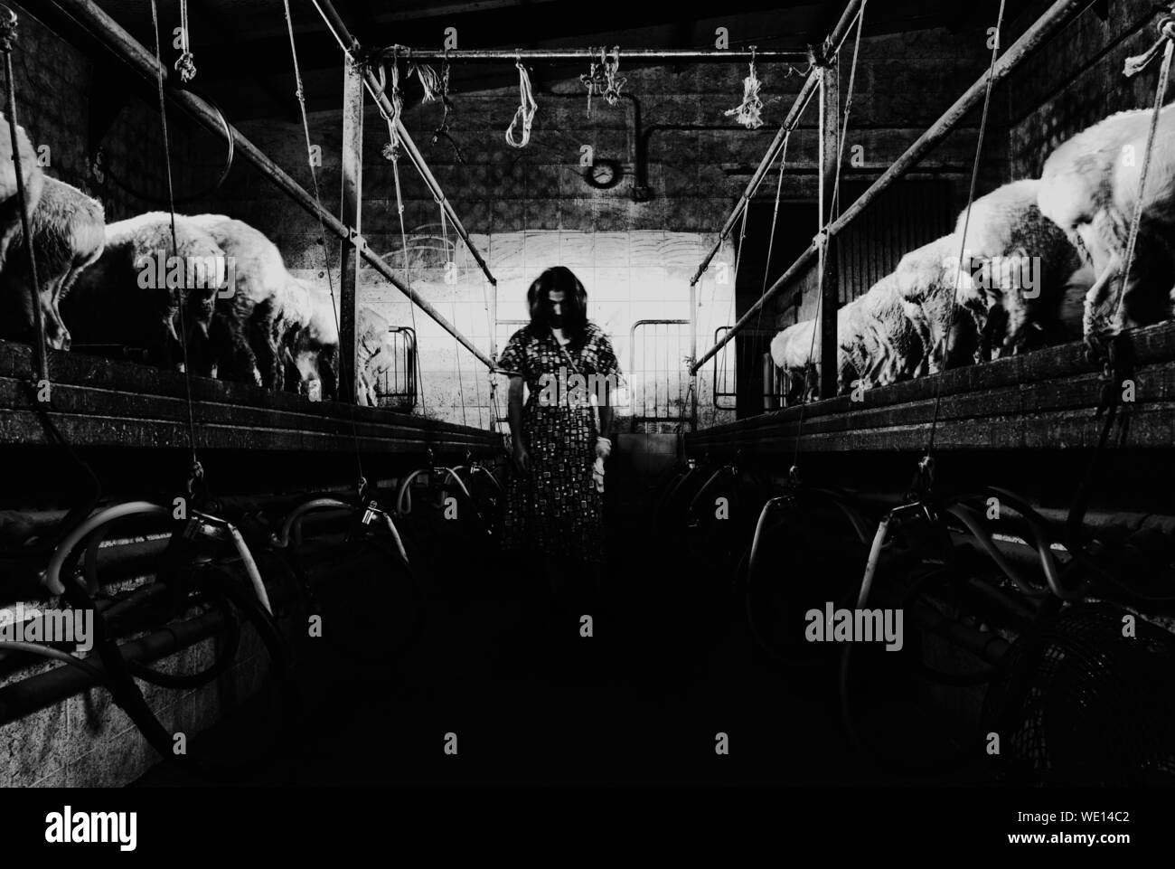 Three people standing in row Black and White Stock Photos & Images - Alamy