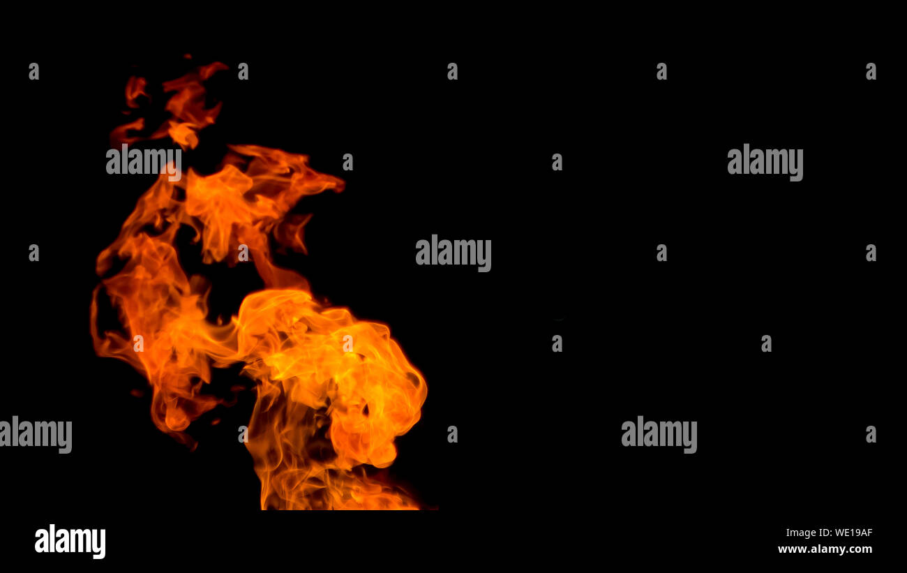 Dragon-shaped fire. Fire in the form of a dragon. Fire flames on black ...