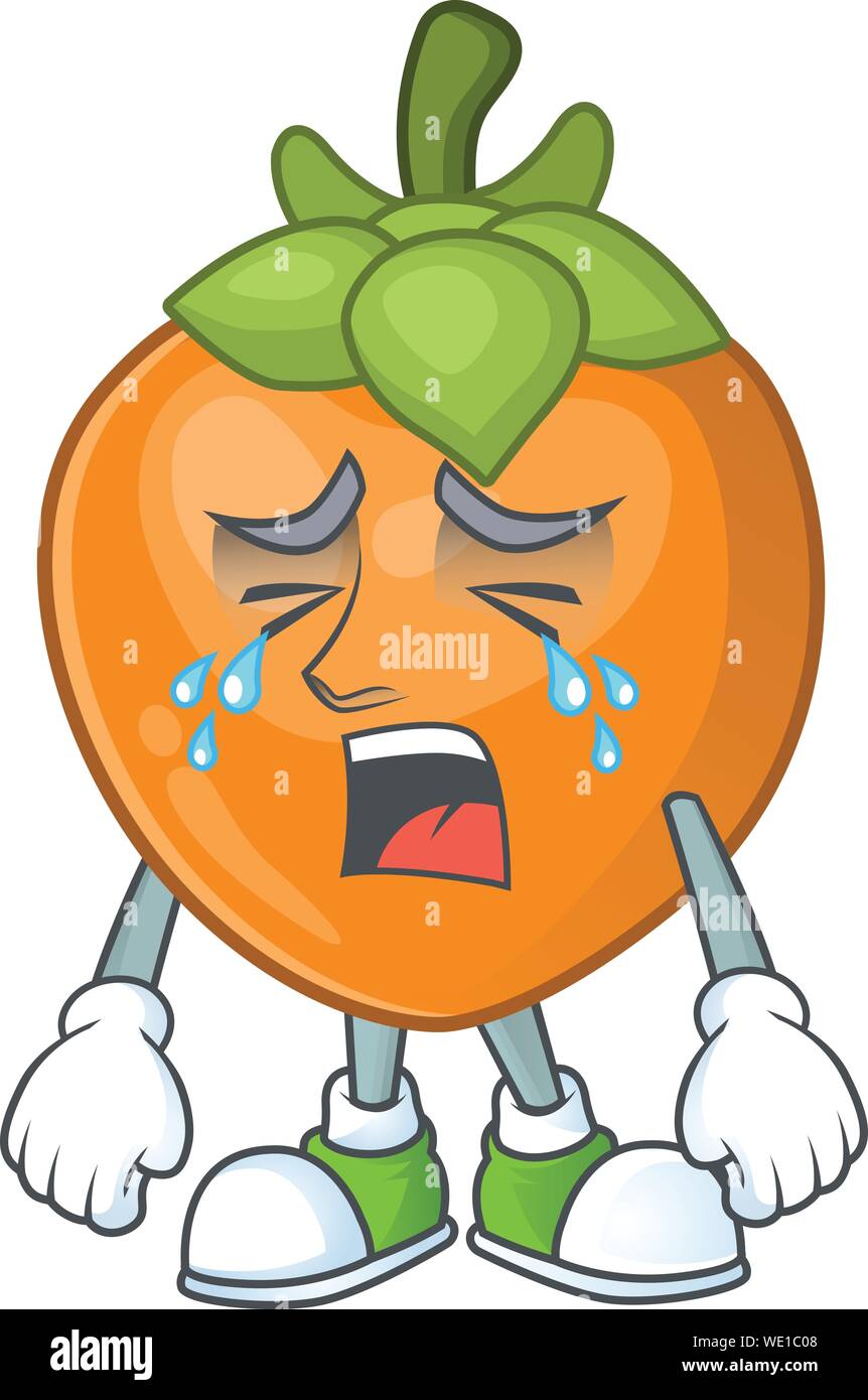 Orange persimmon cartoon background Stock Vector Images - Alamy