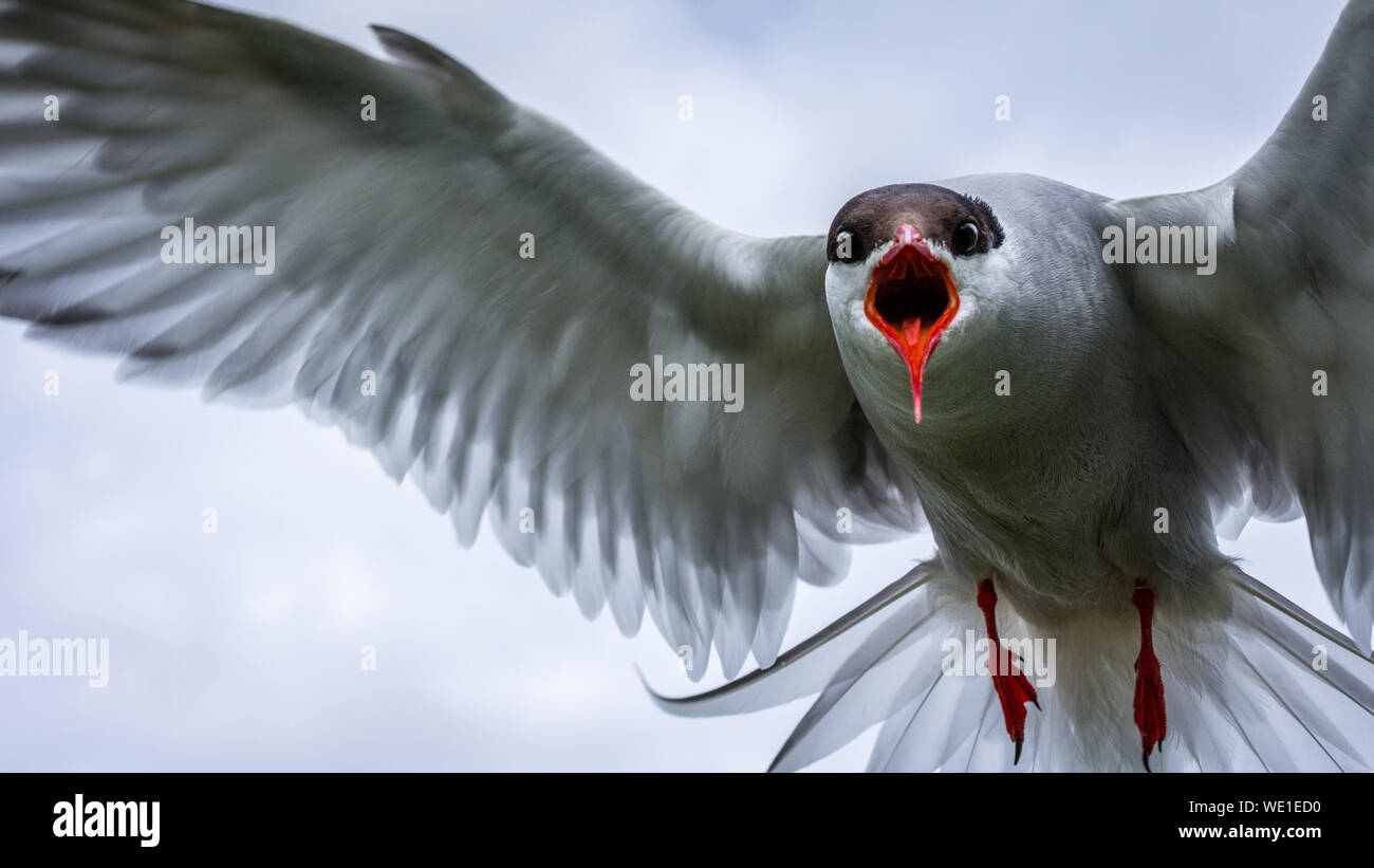 Open air air hi-res stock photography and images - Alamy