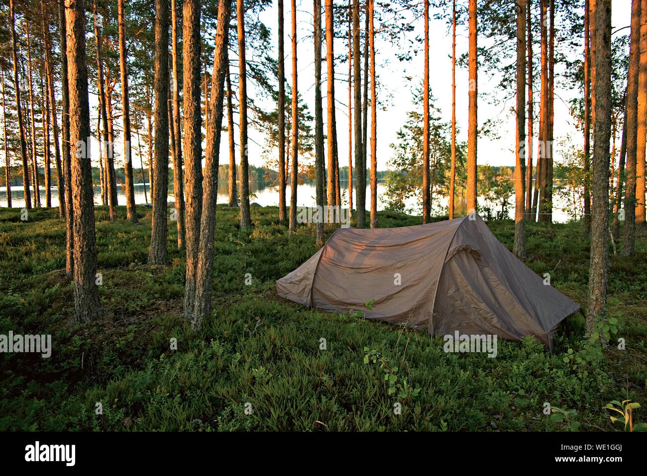 Camping in the forest hi-res stock photography and images - Alamy