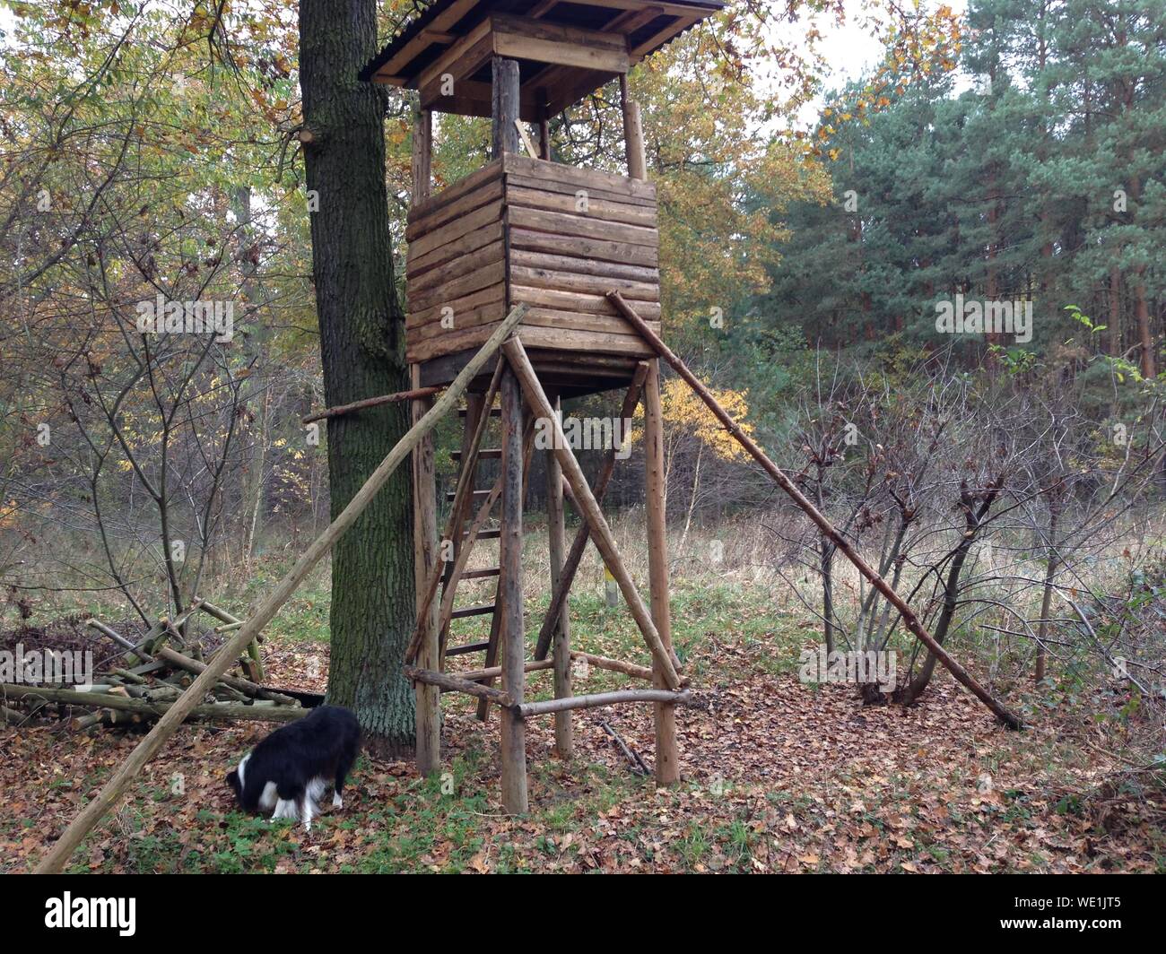 Wooden lookout hi-res stock photography and images - Alamy