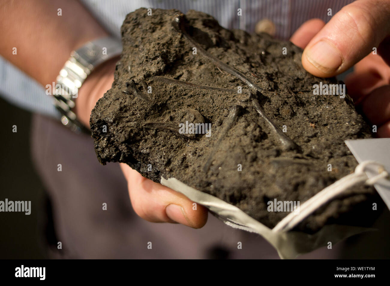 Soil test hand hi-res stock photography and images - Alamy