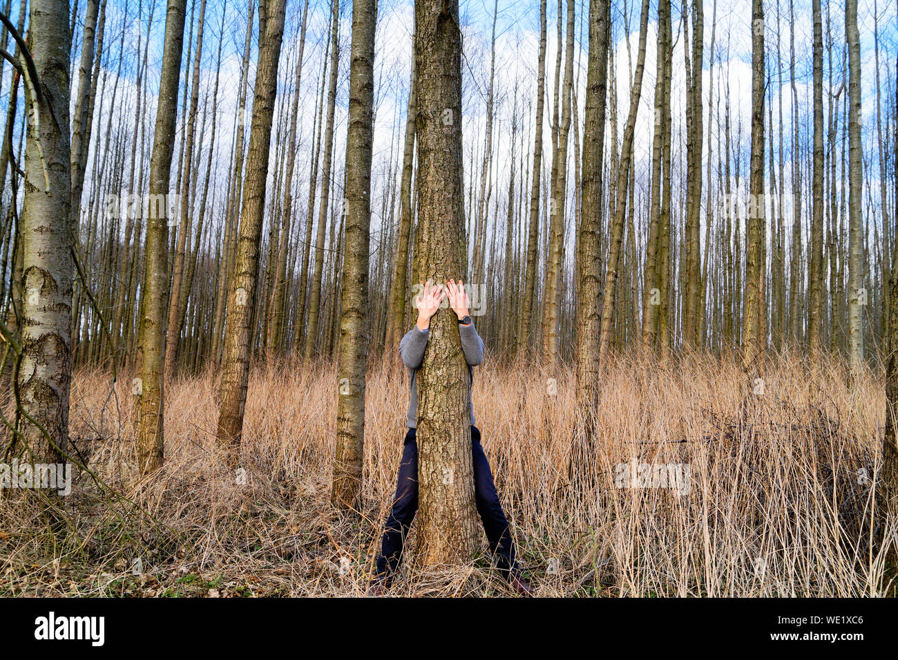 Man hiding in tree hi-res stock photography and images - Alamy