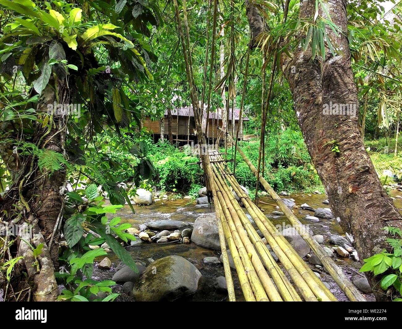 Bamboo Footbridge High Resolution Stock Photography and Images - Alamy