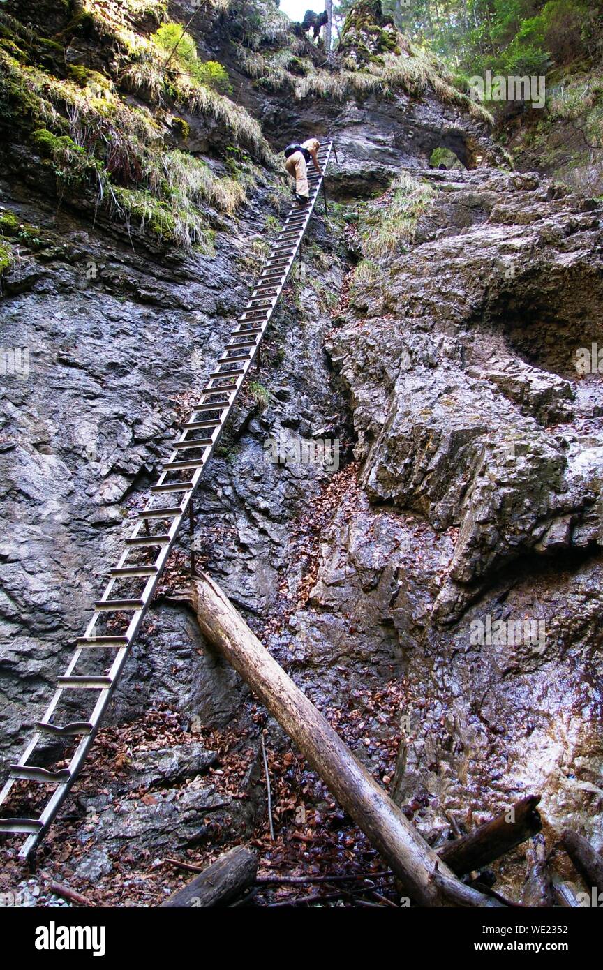 Woman climbing on ladder hi-res stock photography and images - Alamy