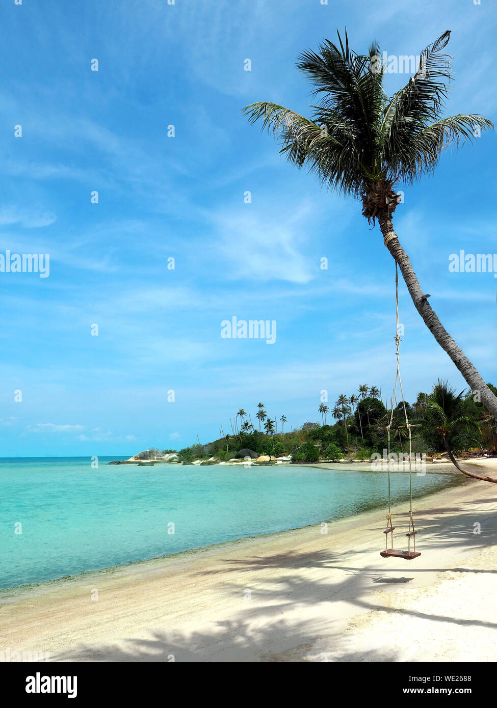 Hanging palm hi-res stock photography and images - Alamy