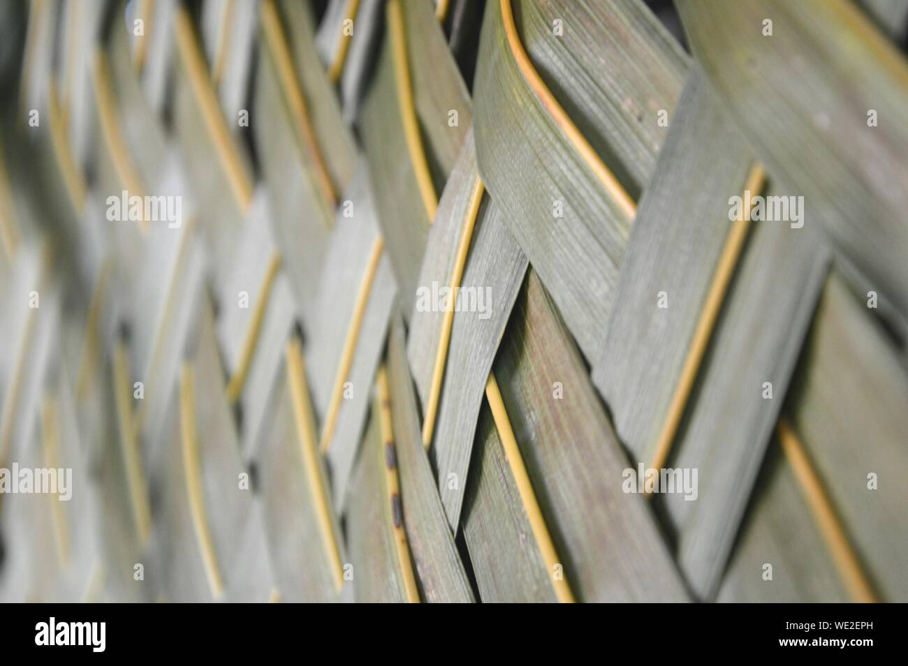 Macro wall art hi-res stock photography and images - Alamy