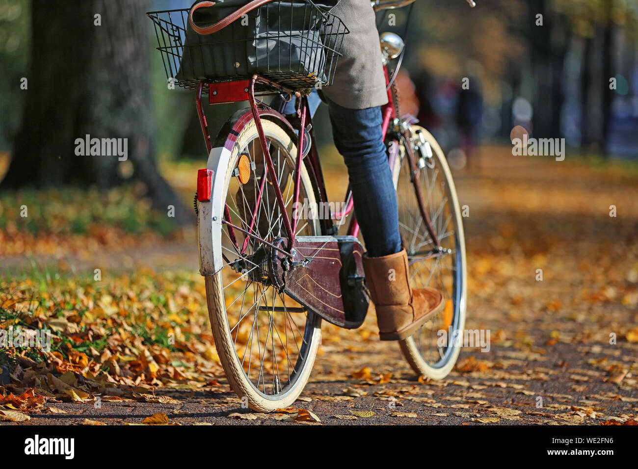 female cyclist in autumn Stock Photo - Alamy