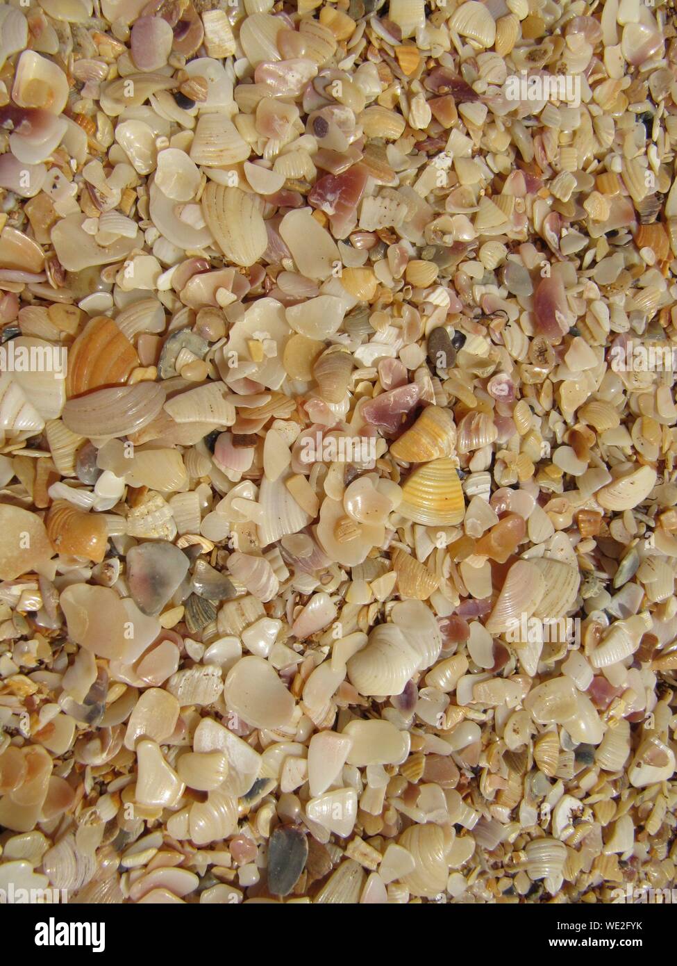 Pebbled ground hi-res stock photography and images - Alamy