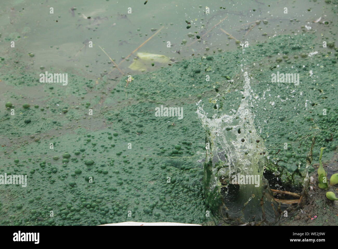 Dirty water puddle hi-res stock photography and images - Alamy
