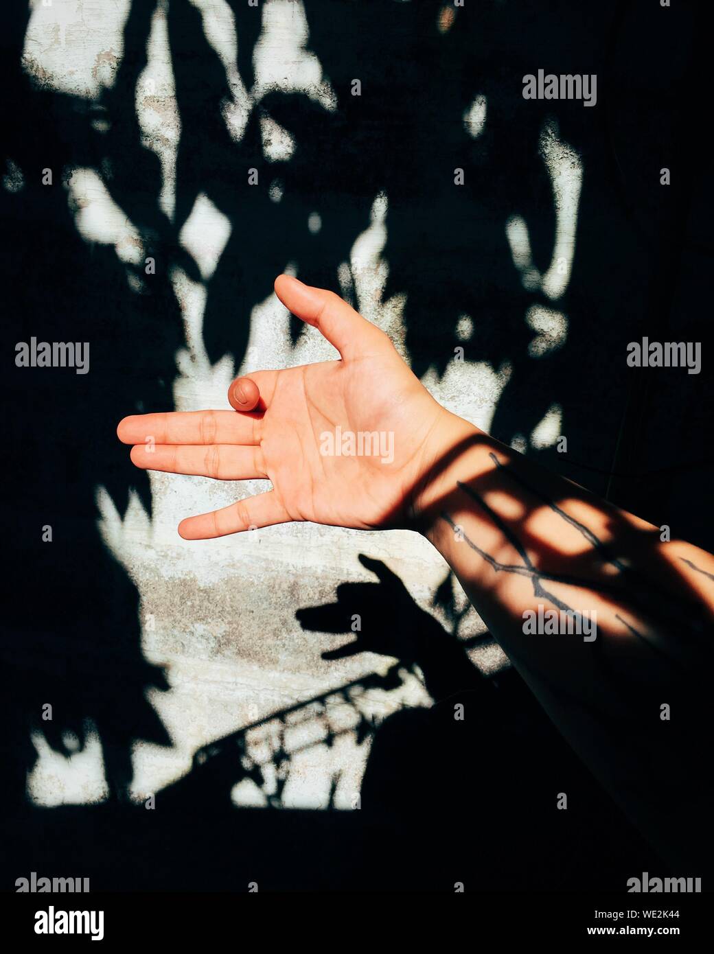 Shadow Puppet Hand High Resolution Stock Photography and Images - Alamy