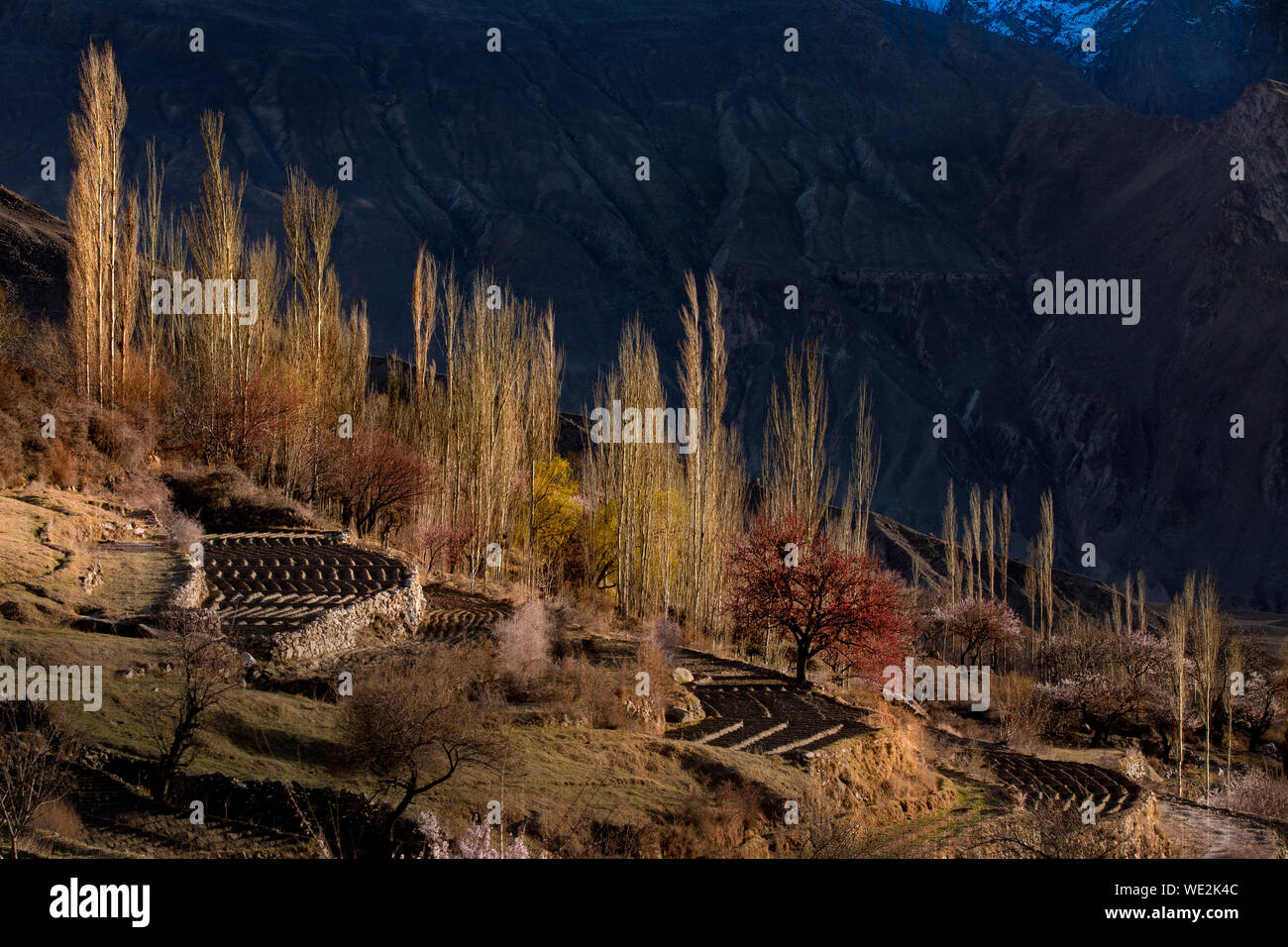 Expansive landscapes hi-res stock photography and images - Alamy