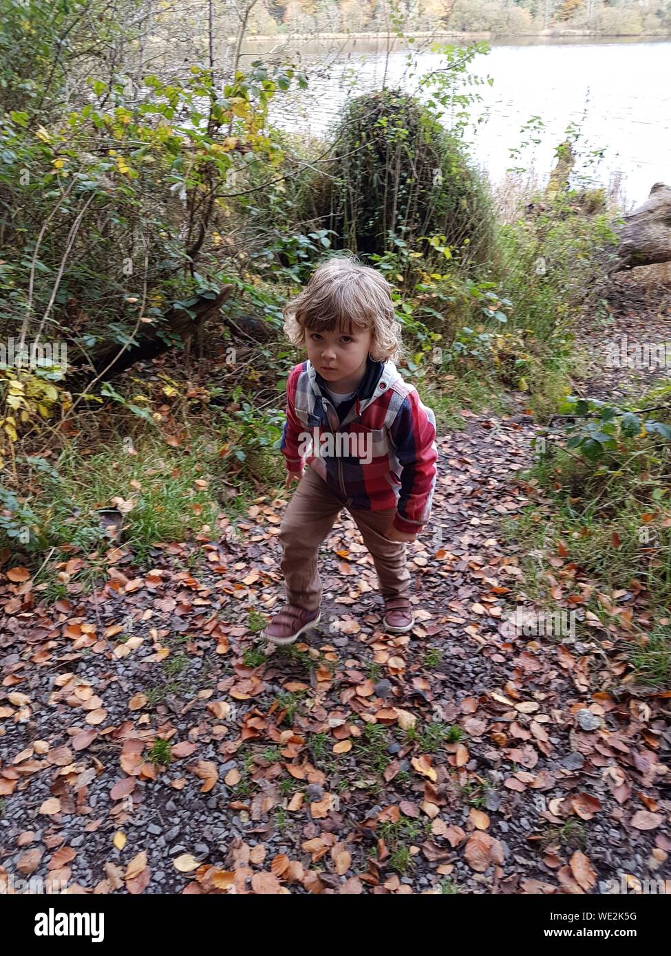 Boys walking in park hi-res stock photography and images - Alamy