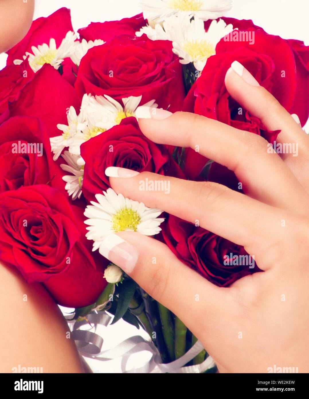 Red roses hand hi-res stock photography and images - Alamy