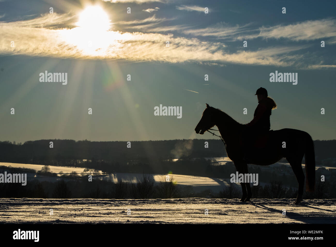 Man on horse silhouette hi-res stock photography and images - Alamy