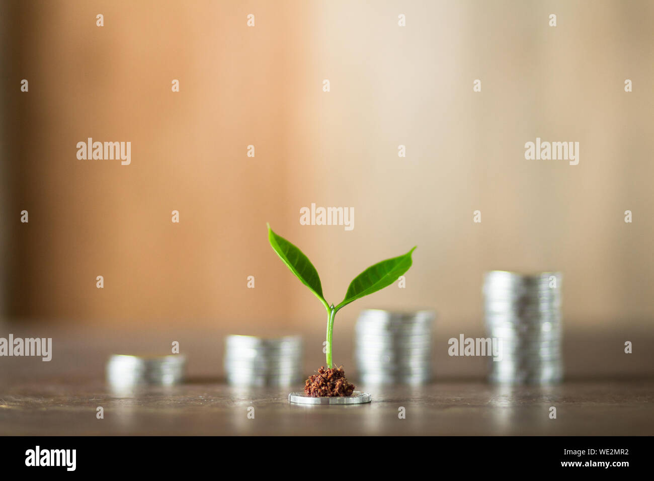 Money sapling hi-res stock photography and images - Alamy