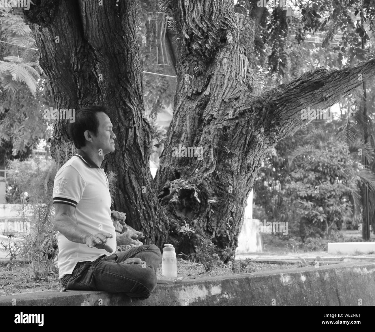 Side View Of Man Sitting By Tree Trunk Stock Photo - Alamy