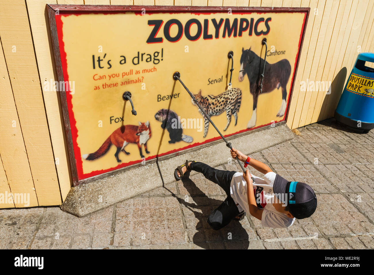 England, East Sussex, Eastbourne, Alfriston, Drusillas Park Zoo and ...