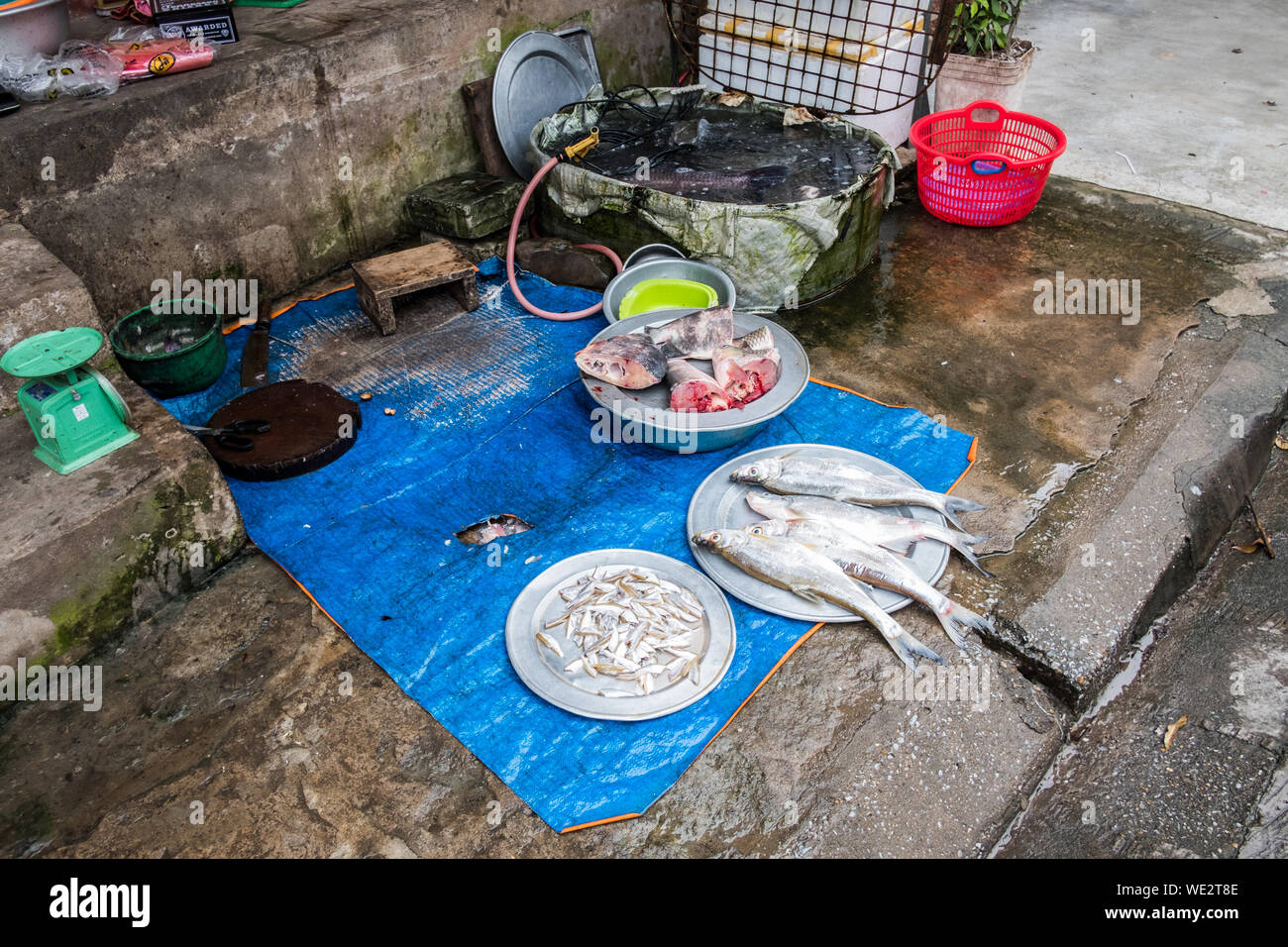 Vietnam food market stall fish seafood hi-res stock photography and ...