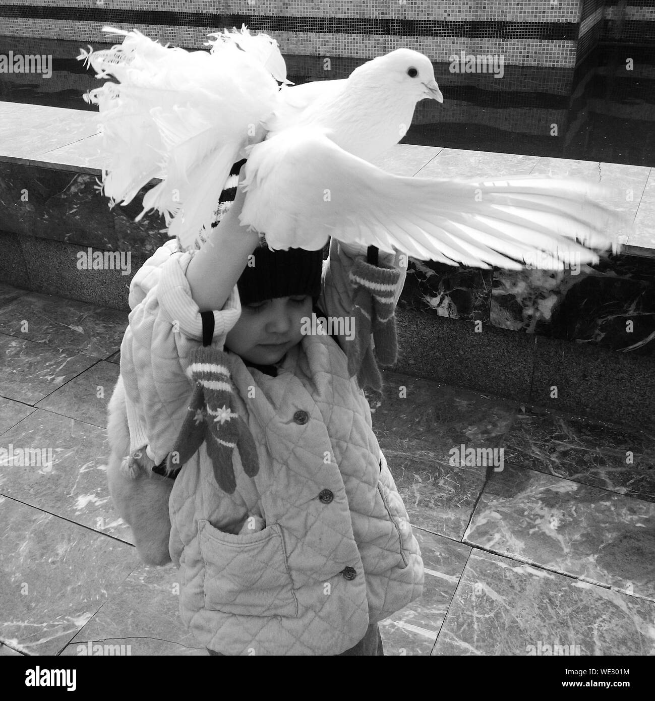 Boy Holding Bird High Resolution Stock Photography and Images - Alamy