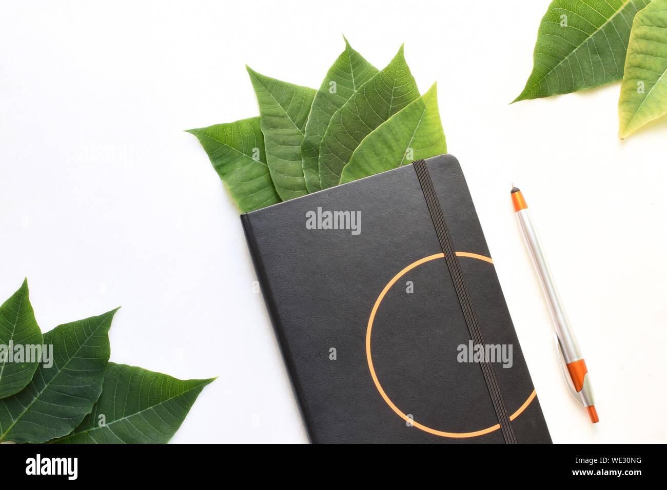 Diary leaf hi-res stock photography and images - Alamy