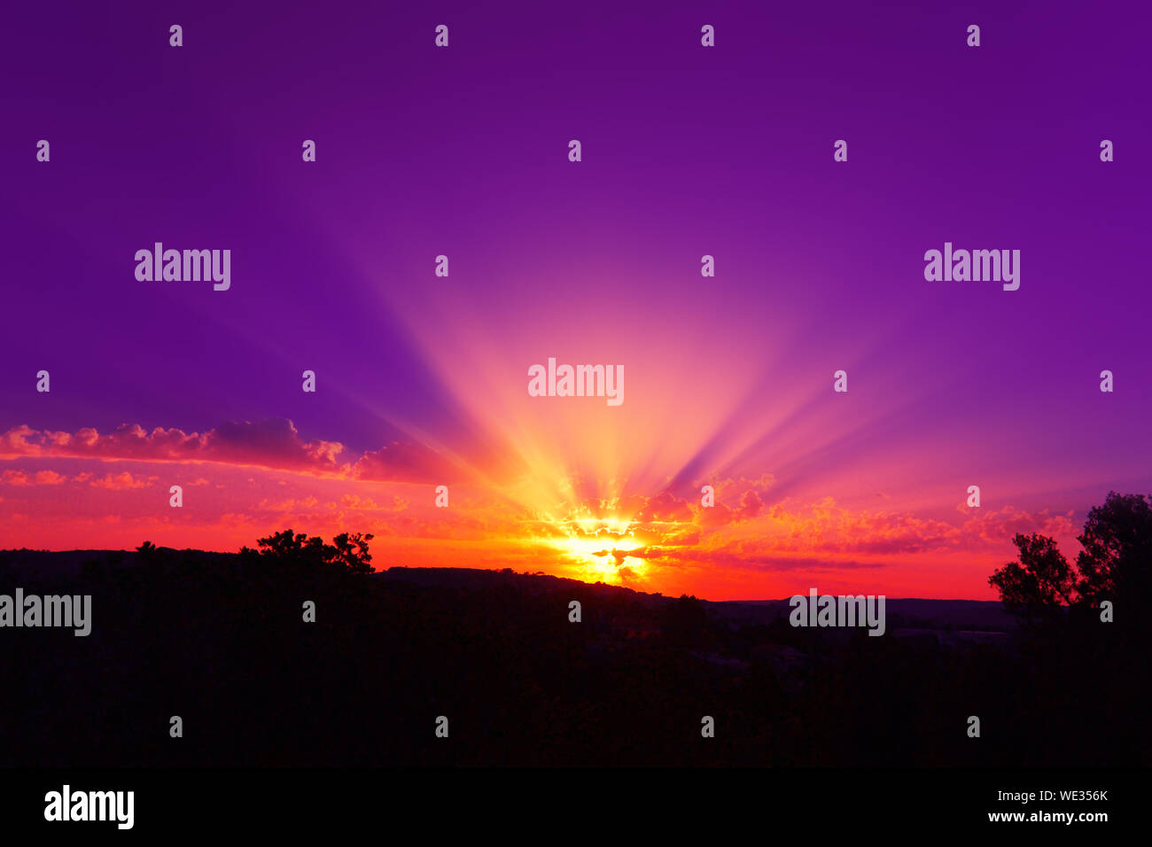 Purple violet orange rose blue hi-res stock photography and images - Alamy