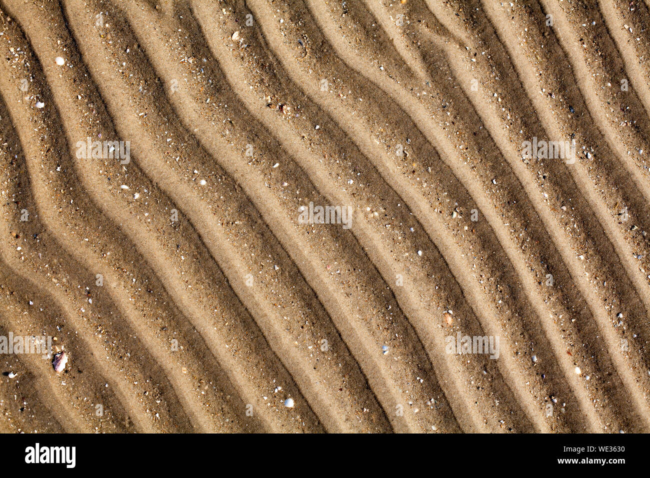 Curved Lines Of Sand