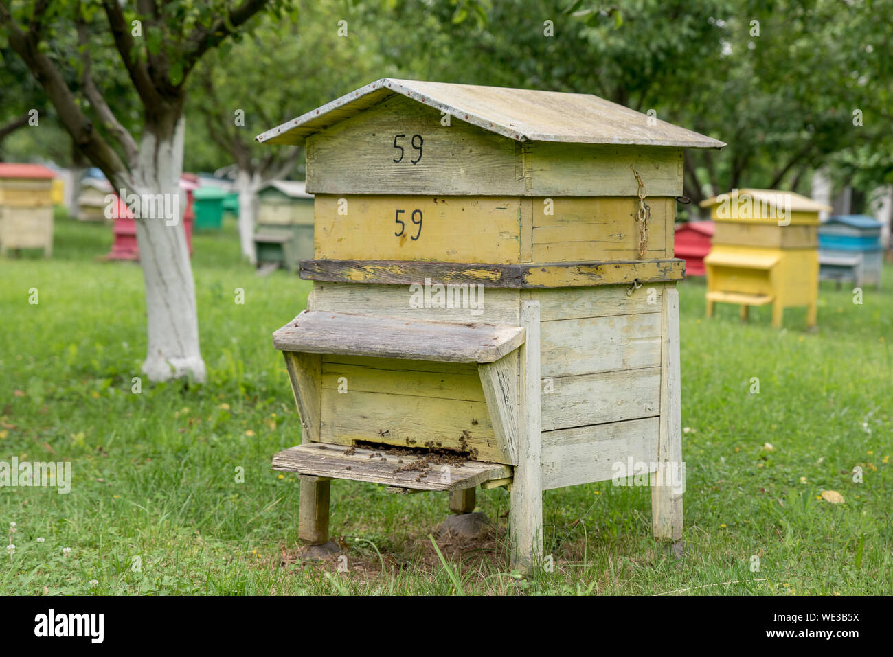 Beehive box hi-res stock photography and images - Alamy