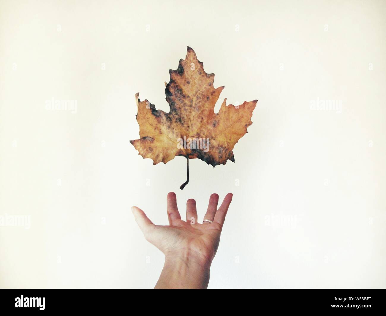Levitating Hand High Resolution Stock Photography and Images - Alamy