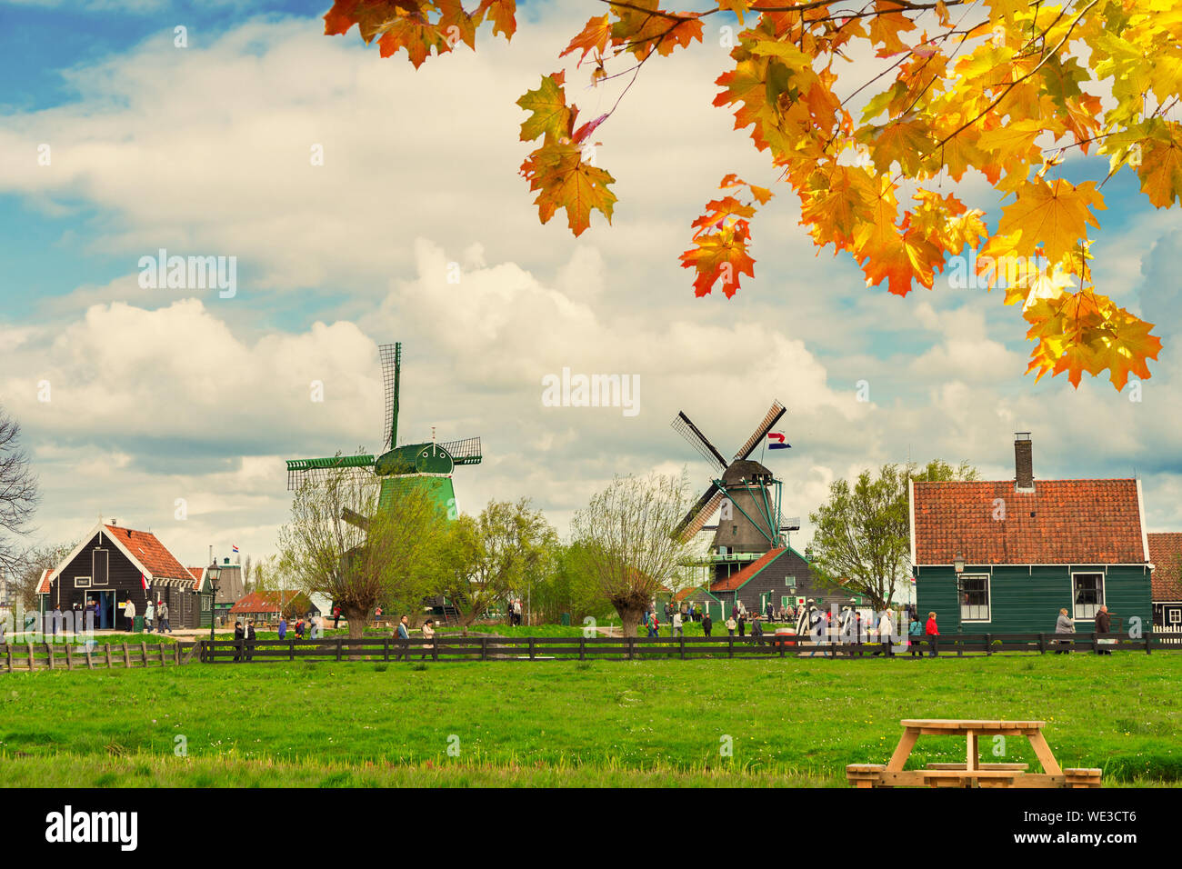 traditional Dutch rural scenery with windmills of Zaanse Schans at fall ...