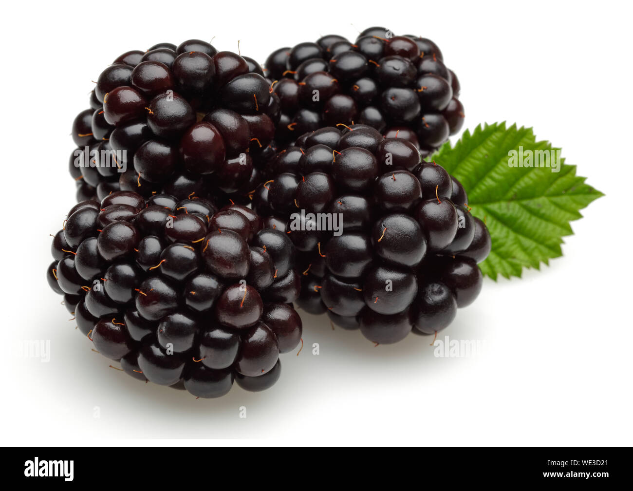 Fresh blackberries with leaf isolated on white background Stock Photo ...